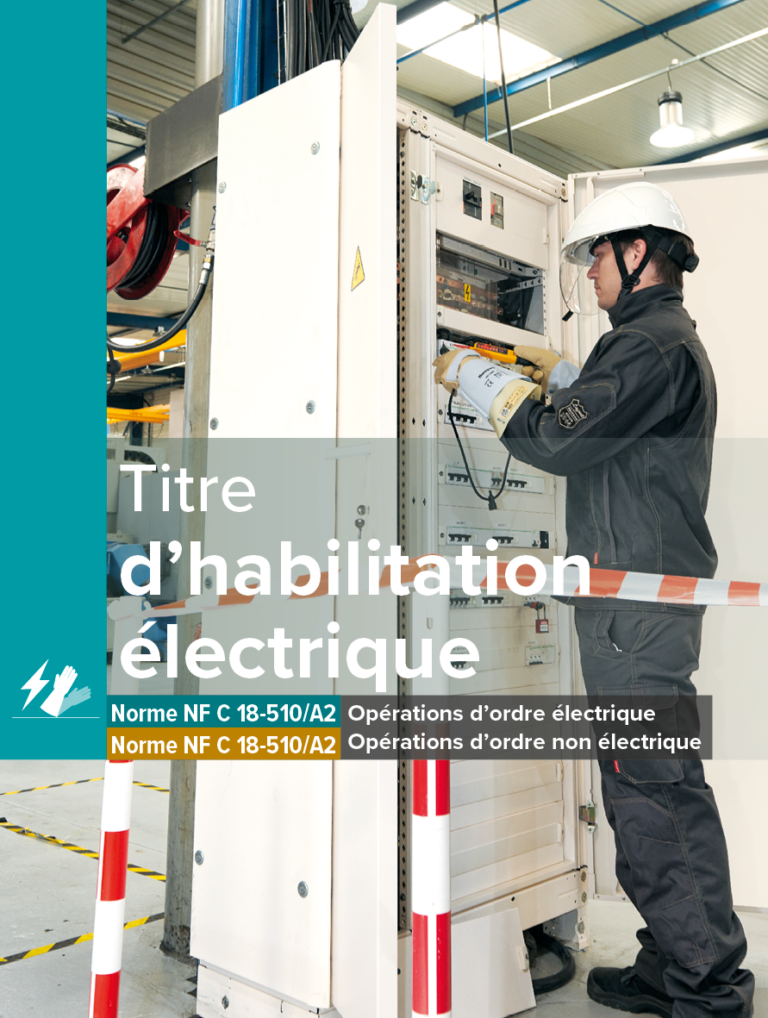 Carte - Titre d’Habilitation électrique N 18-510/A1